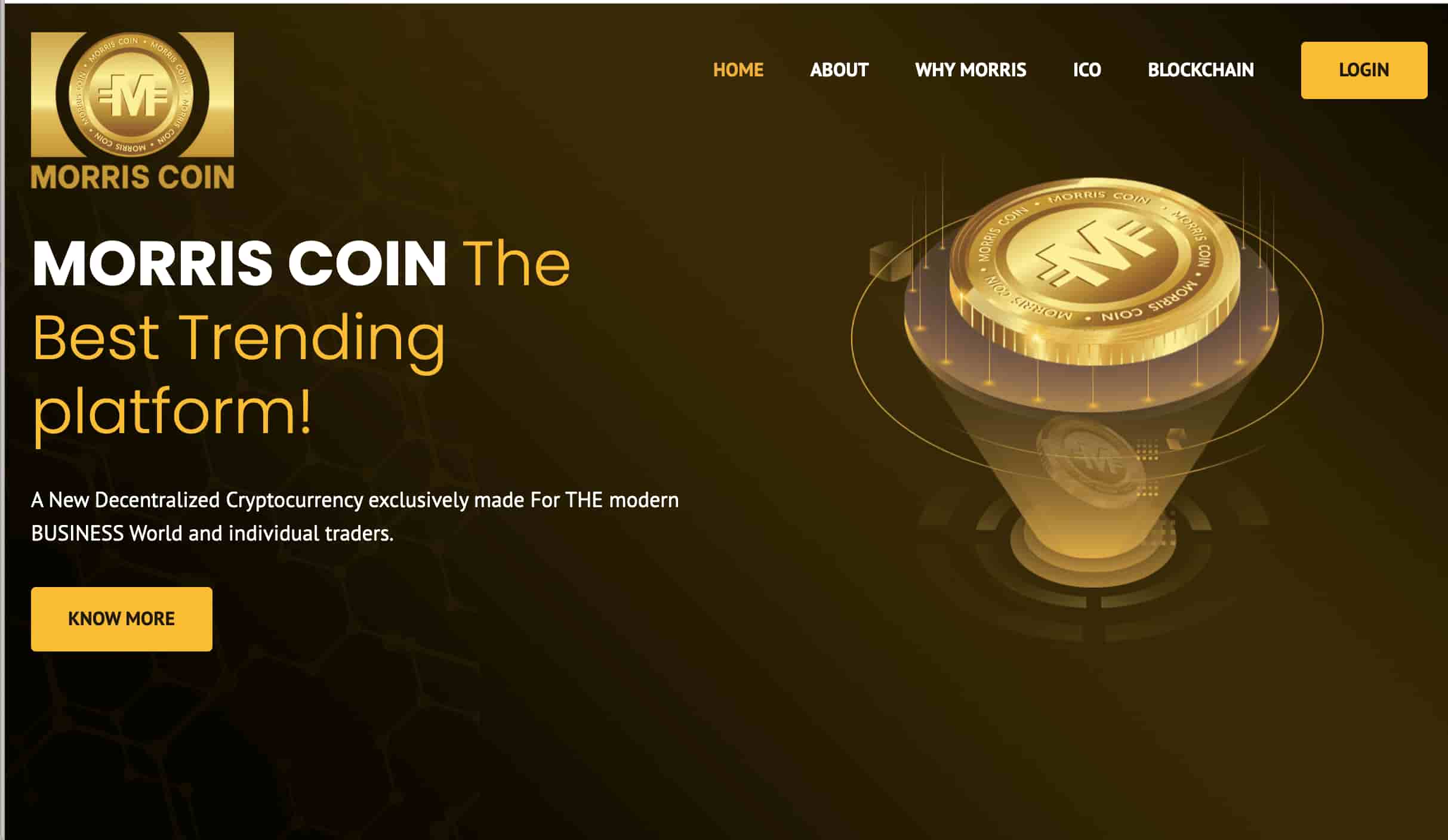 The Crypto Mirage: Unpacking the Morris Coin Ponzi Scheme and India’s ...